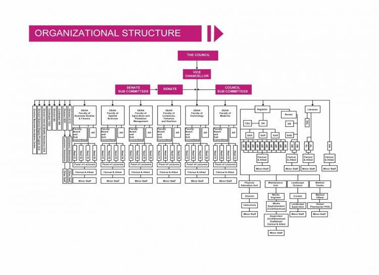 Organizational Structure – Wayamba University of Sri Lanka