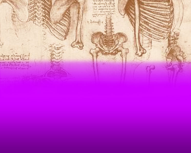 Anatomy – Wayamba University of Sri Lanka