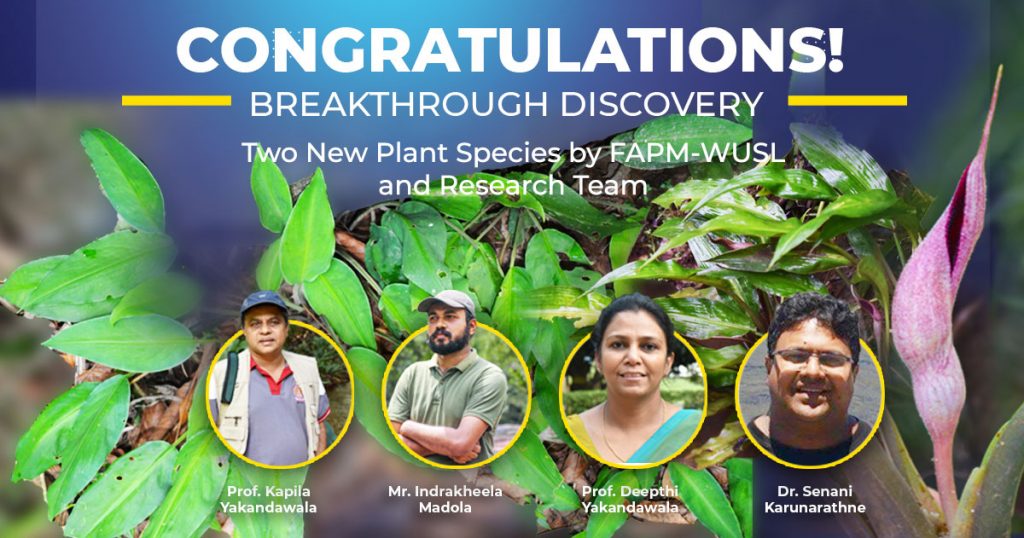 Congratulations! Breakthrough Discovery of Two New Plant Species by ...