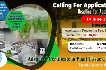 Wayamba University of Sri Lanka